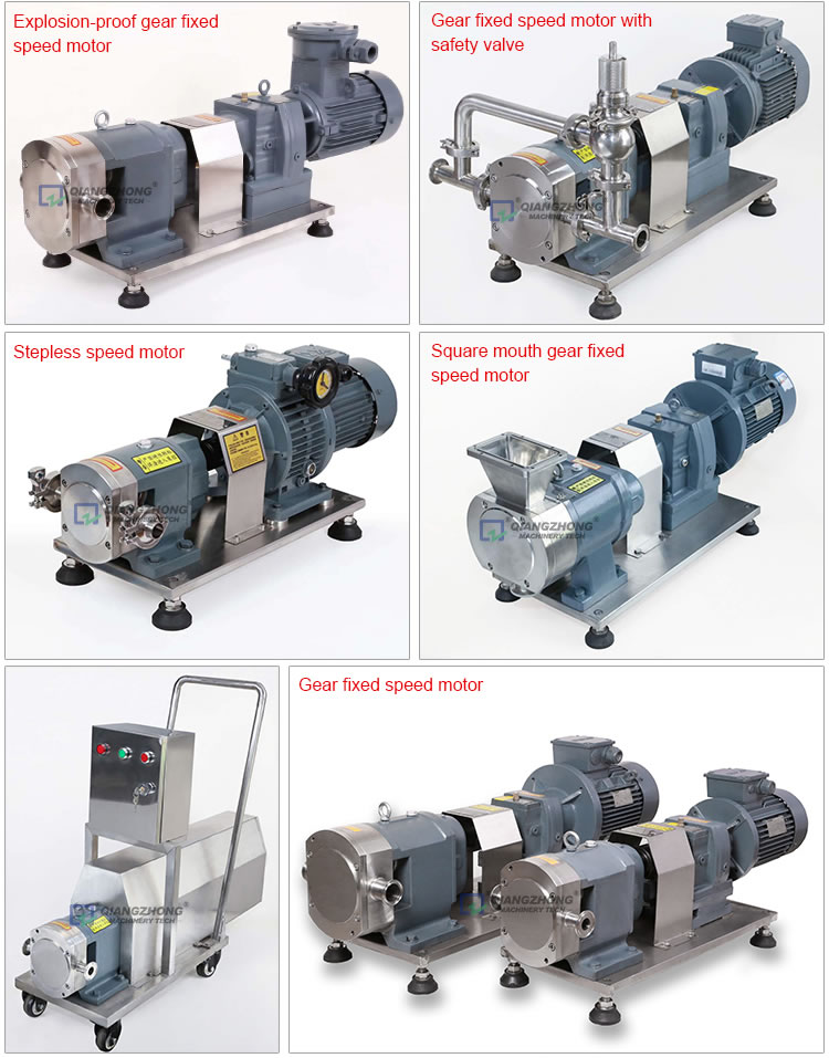China Cam Rotor Pump QZ-Z Series Manufacturers & Suppliers - Qiangzhong ...